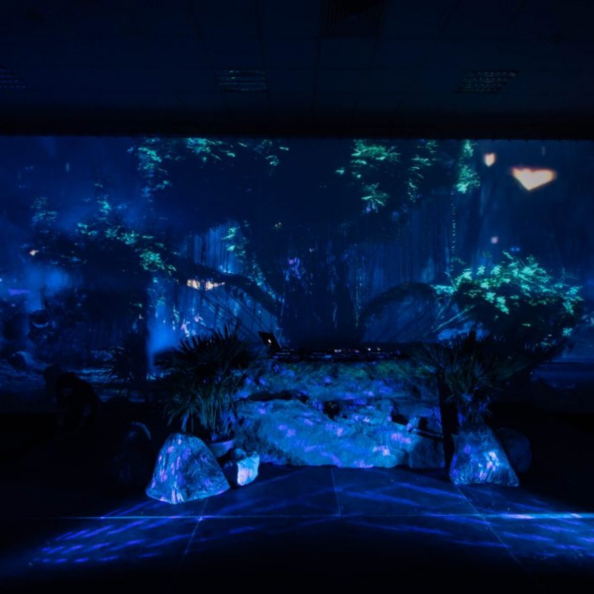 Faire son événement sur le thème d'Avatar • Moon Group